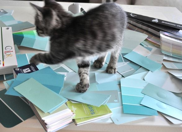 Preventing (and Remedying!) Paint Color Regret - The Refreshed Home